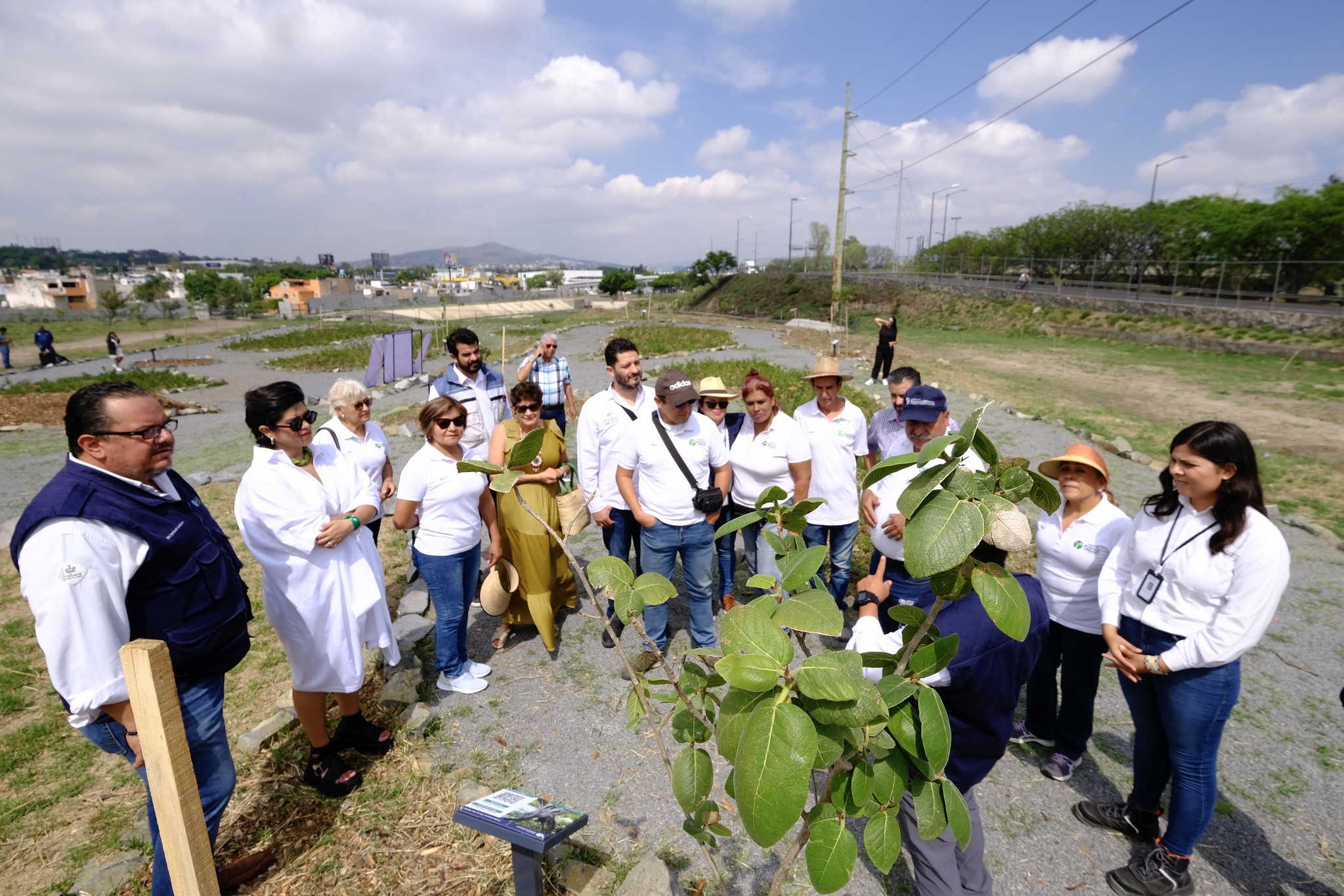 Gobierno de Jalisco