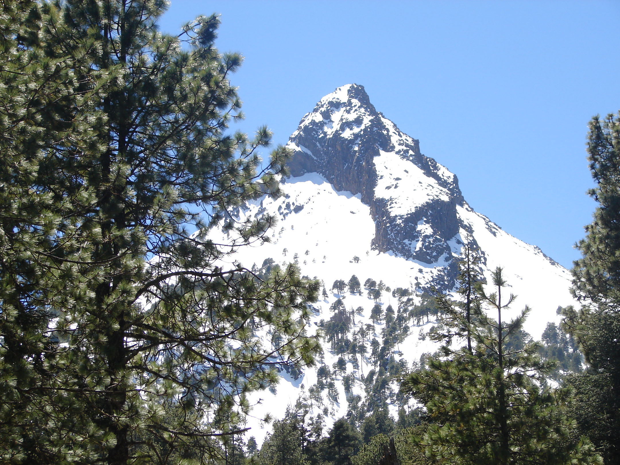 Cumple su 77 aniversario el Parque Nacional Nevado de Colima | Gobierno ...