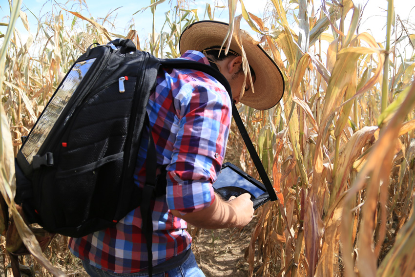 Retoma el campo de Jalisco el extensionismo rural | Gobierno del Estado ...