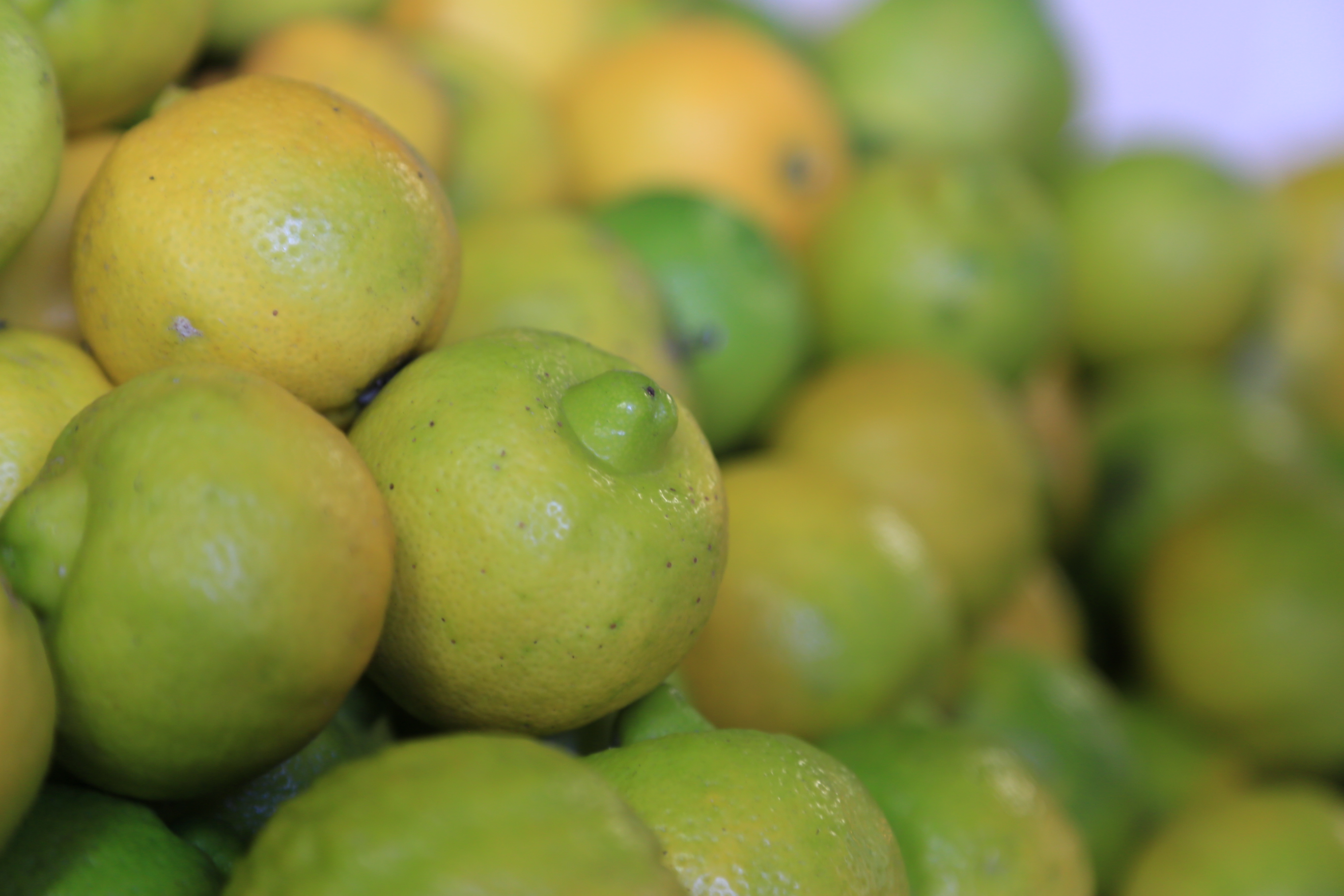 Jalisco líder nacional en producción de lima | Gobierno del Estado de ...