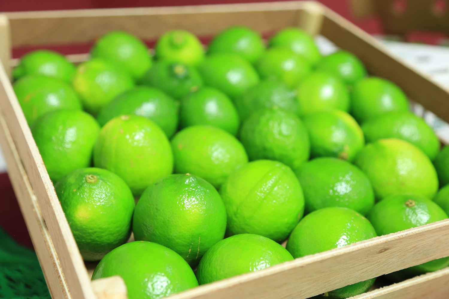 Crece la demanda externa para limones jaliscienses | Gobierno del ...