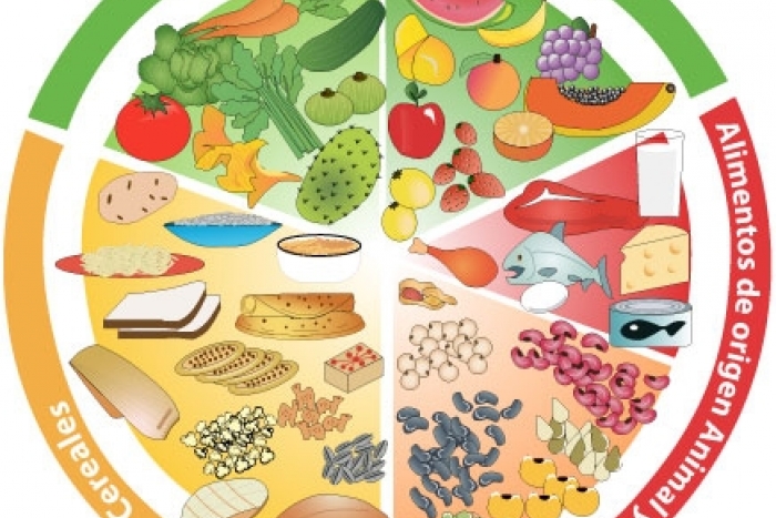 Imagenes D Dibujos Del Plato Del Buen Comer Imagui Images Imagenes D Dibujos Del Plato Del Buen Comer Imagui Images